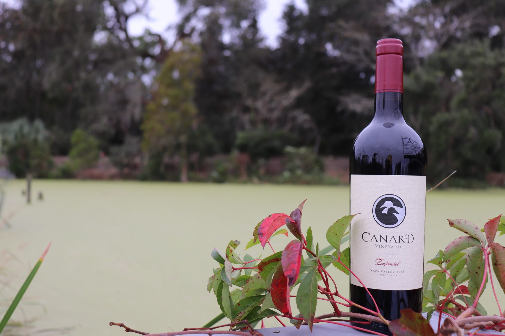 Canard: A Historic Vineyard | Grassroots Wine